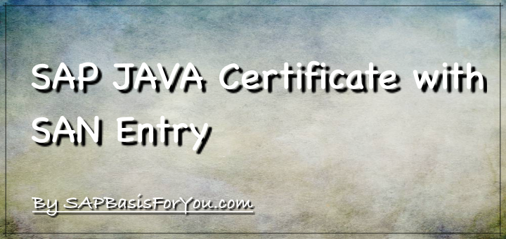 SAP BASIS For You - Page 2 of 3 - Confused Consultant's Guide