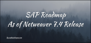 SAP Portal/JAVA Archives - SAP BASIS For You