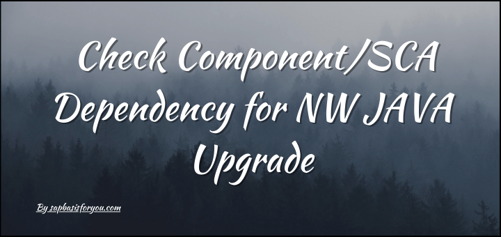 Check Component Dependency for NW JAVA - SAP BASIS For You Check Component Dependency for NW JAVA - SAP BASIS For You